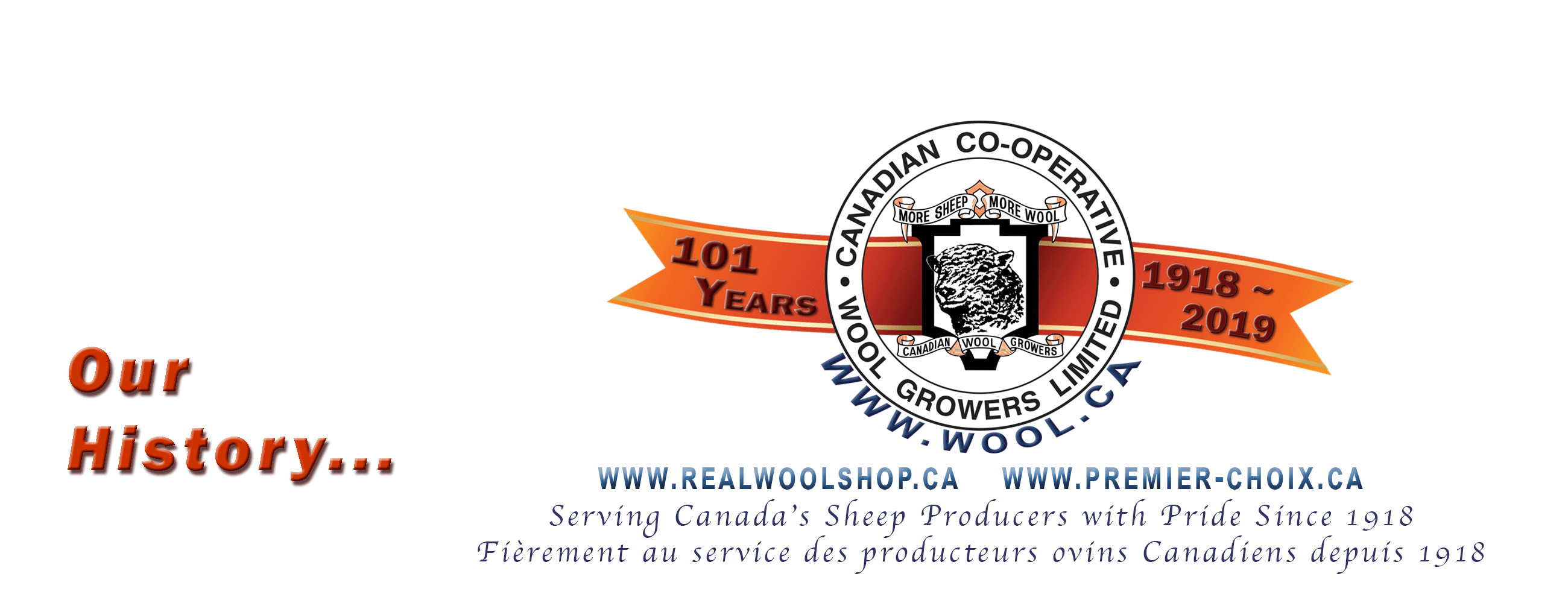 Rideau Arcott Sheep | Canadian Co-operative Wool Growers Limited